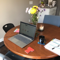 recipes | the Dr. Tess blog